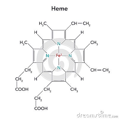 Heme, Or Haem Diagram Biochemistry Vector Illustration Structure ...