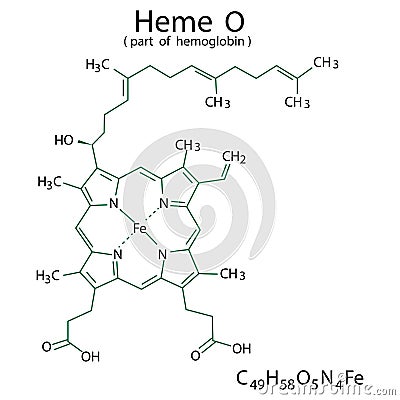 Heme O Chemical Formula. Part Of Hemoglobin. Molecular Structure ...