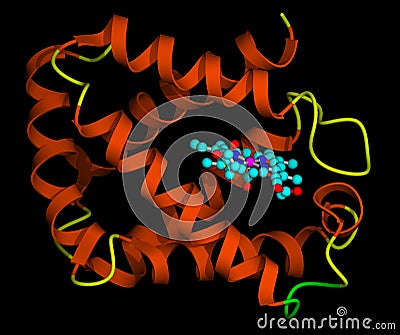 Hemoglobin Molecule With Heme Royalty-Free Cartoon | CartoonDealer.com ...