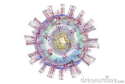 Herpes Simplex Virus Structure Royalty-Free Illustration ...
