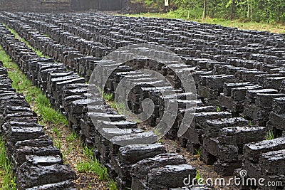 Het Graven Van De Turf In Beieren, Duitsland Stock Fotografie ...