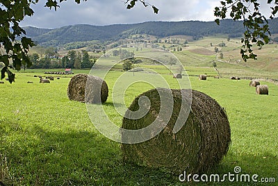 Heufeld Stockfoto - Bild: 21280
