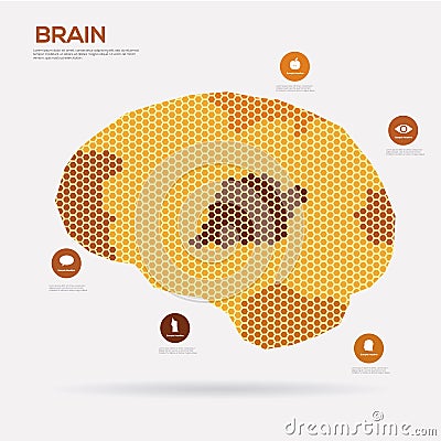 Hexagon Brain Hive. Infographics. Cartoon Vector | CartoonDealer.com ...