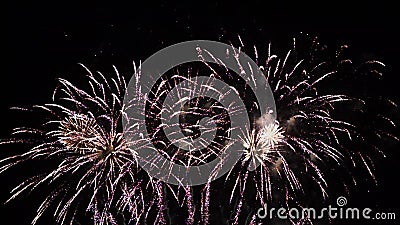 Fireworks Stock Footage & Videos - 37,661 Stock Videos