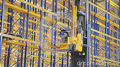 High Rack Stacker Forklift stock footage. Video of rack - 260793080
