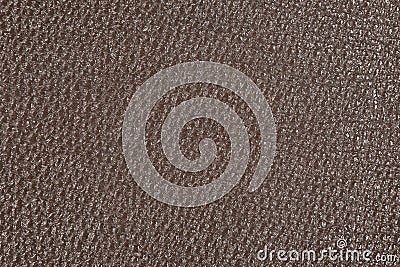 High Resolution Texture. Background. Skin. Stock Photography ...