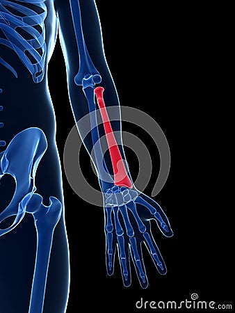 Highlighted Radius Royalty Free Stock Photos - Image: 30723928