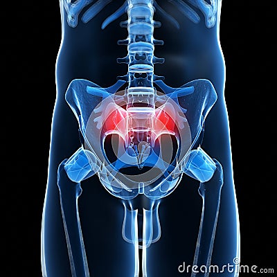 The painful sacrum stock illustration. Illustration of anatomy - 74188080