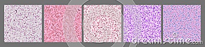 Histologic Sample Structures Set - Visualization Of Tissues Cross ...