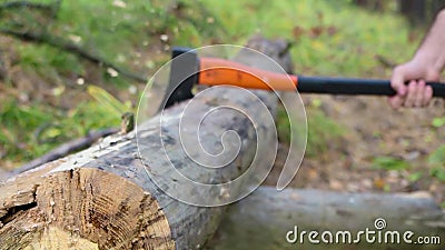 Hitting Tree Trunk with Axe. Close Up View. Stock Footage - Video of ...