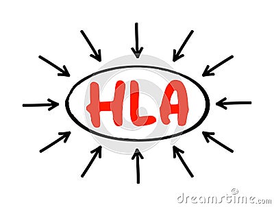 HLA Human Leukocyte Antigen - Complex Of Genes On Chromosome 6 In ...