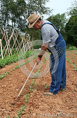 Hoeing The Garden Royalty Free Stock Image - Image: 23097246