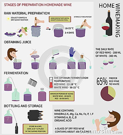 Home Winemaking. Wine From Grapes. Infographics. Stock Illustration ...