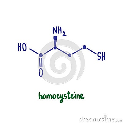 Homocysteine Hand Drawn Vector Formula Chemical Structure Lettering ...