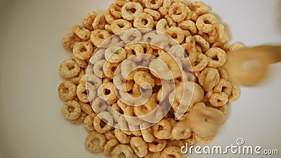 Cereal circles falling stock video. Video of delicious - 247568469