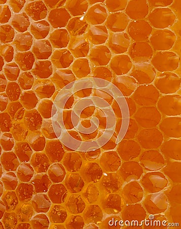 Honey Texture Stock Images - Image: 16727544