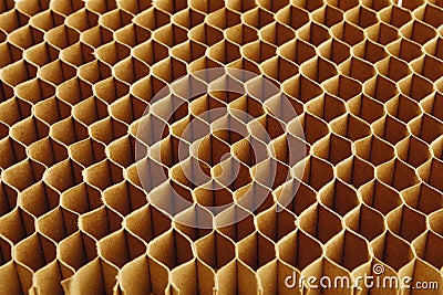 Honeycomb Cells Of Cardboard Stiffening Rib Background Stock ...