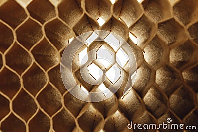 Honeycomb Cells Of Cardboard Stiffening Rib Background Royalty-Free ...