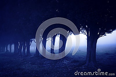 Horror Landscape of Dark Forest with Scary Tree Stock Photo - Image of ...