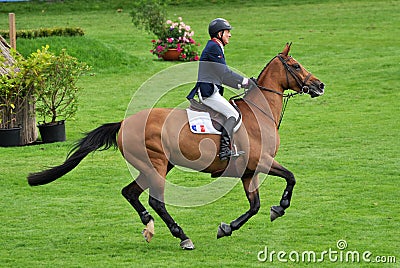 Horse Gallop Editorial Stock Photo - Image: 20636548