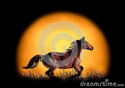 Horse Running On The Background Of Sunset Stock Photo - Image: 67251531