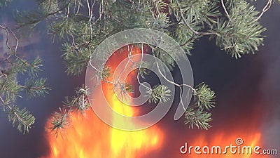 House Engulfed in Flames Showing Fire Smoke. Stock Video - Video of ...