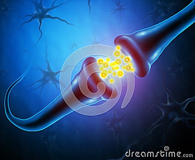 Anatomy Illustration Of Human Brain Receptor Cell Active Royalty-Free ...
