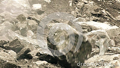 Huge Boulder Falling In Front Of The Camera Stock Footage - Video of ...