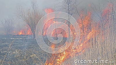 Huge Fire. Dry Grass Fire Near Rural Homes Stock Video - Video of burnt ...