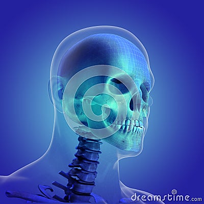 The Human Body (organs) By X-rays On Blue Background Royalty-Free Stock ...