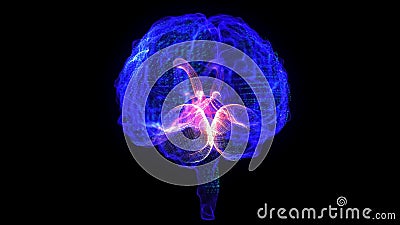 Human Brain. Glowing Blue Light Line of Human Brain Model Stock Footage ...