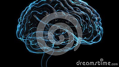 Human Brain Hologram. Polygon Mesh of Human Brain Model Stock Video ...