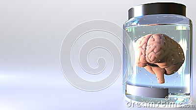 Human brain in a jar stock video. Video of memory, brain - 110497501