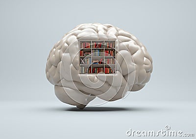 Human Brain With A Library Inside And Books Royalty-Free Illustration ...