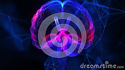 Human Brain. Nervous System Mesh of Human 3d Model Brain Stock Footage ...