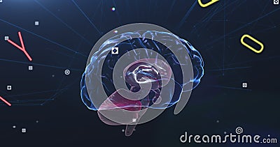 Human Brain Spinning Against Multiple Changing Numbers and Alphabets ...