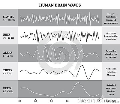 Human Brain Waves Diagram / Chart / Illustration Cartoon Vector ...
