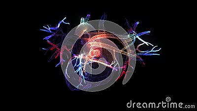 Human Circulatory System Heart Beat Anatomy Animation Concept.Motion ...