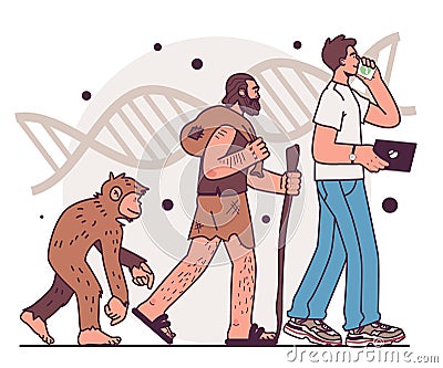 Human Evolution Stages. Evolutionary Development From Primate Royalty ...