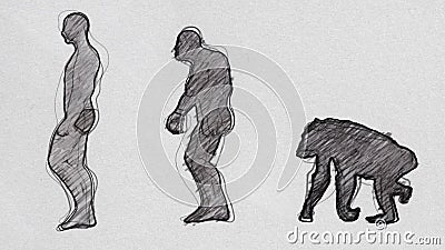 Human Evolution Timeline Walking Pencil Sketch in Loop Stock Footage ...