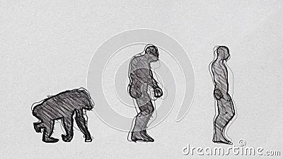 Human Evolution Timeline Walking in Pencil Sketch Seamless Loop Stock ...