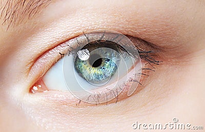 Human Eye Looking To the Left Stock Photo - Image of eyebrow ...