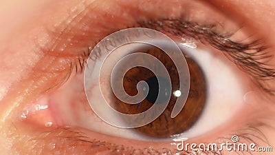 Human Eye Iris Contracting. Extreme Close Up Stock Video - Video of ...