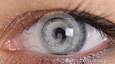 Human Eye Iris Contracting. Extreme Close Up Stock Footage - Video of ...