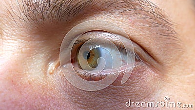 The Human Eye. the Man S Eye Moves from Side To Side. Stock Video ...
