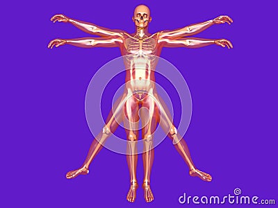 Human Form Stock Photography | CartoonDealer.com #72744164