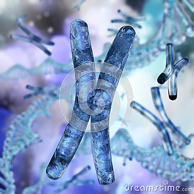 Human Gene X Chromosome Royalty-Free Stock Photography | CartoonDealer ...