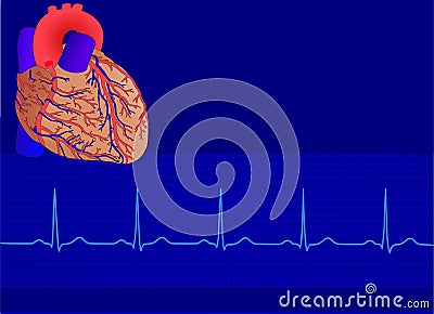 Human Heart& Electrocardiogram Cartoon Vector | CartoonDealer.com #13479183