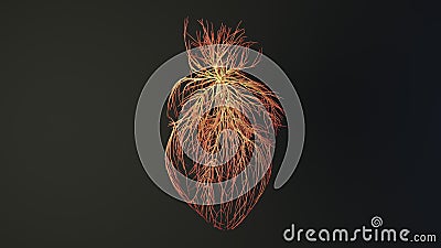 Human Heart Made Out of Lines, Unrolling Animation. Brain Medical ...