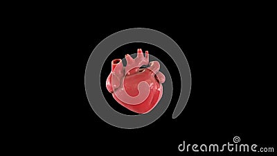 Human Heart Pumping 3D Animation on Black Background Stock Video ...